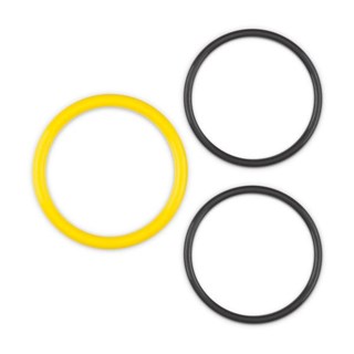 O-ring Kit (Panoptix™ PS51) - Garmin | Raytech Electronic